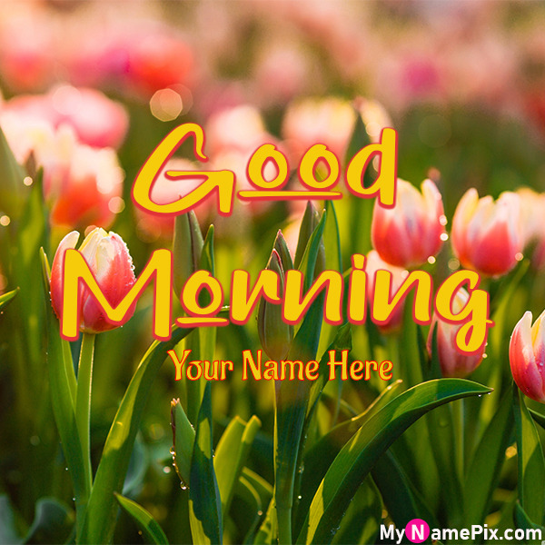 Good Morning Beautiful Wish Card With Name