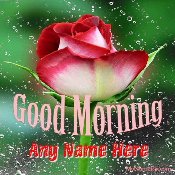 Good Morning Rose Wish Card With Name